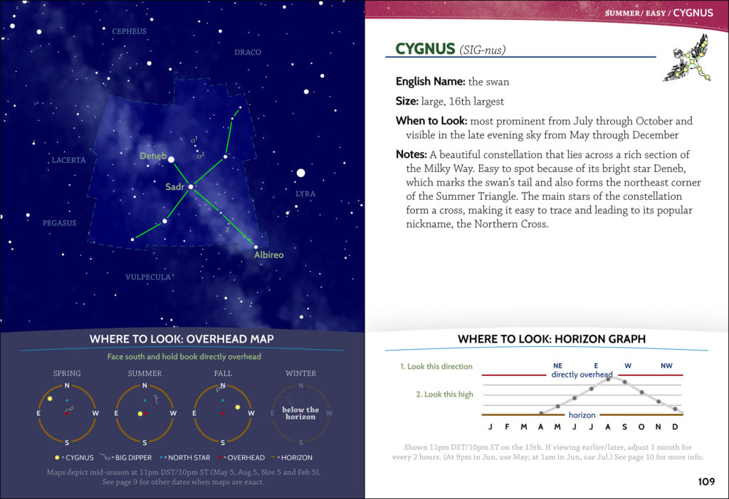 Night Sky: A Field Guide to the Constellations - AdventureKEEN Shop