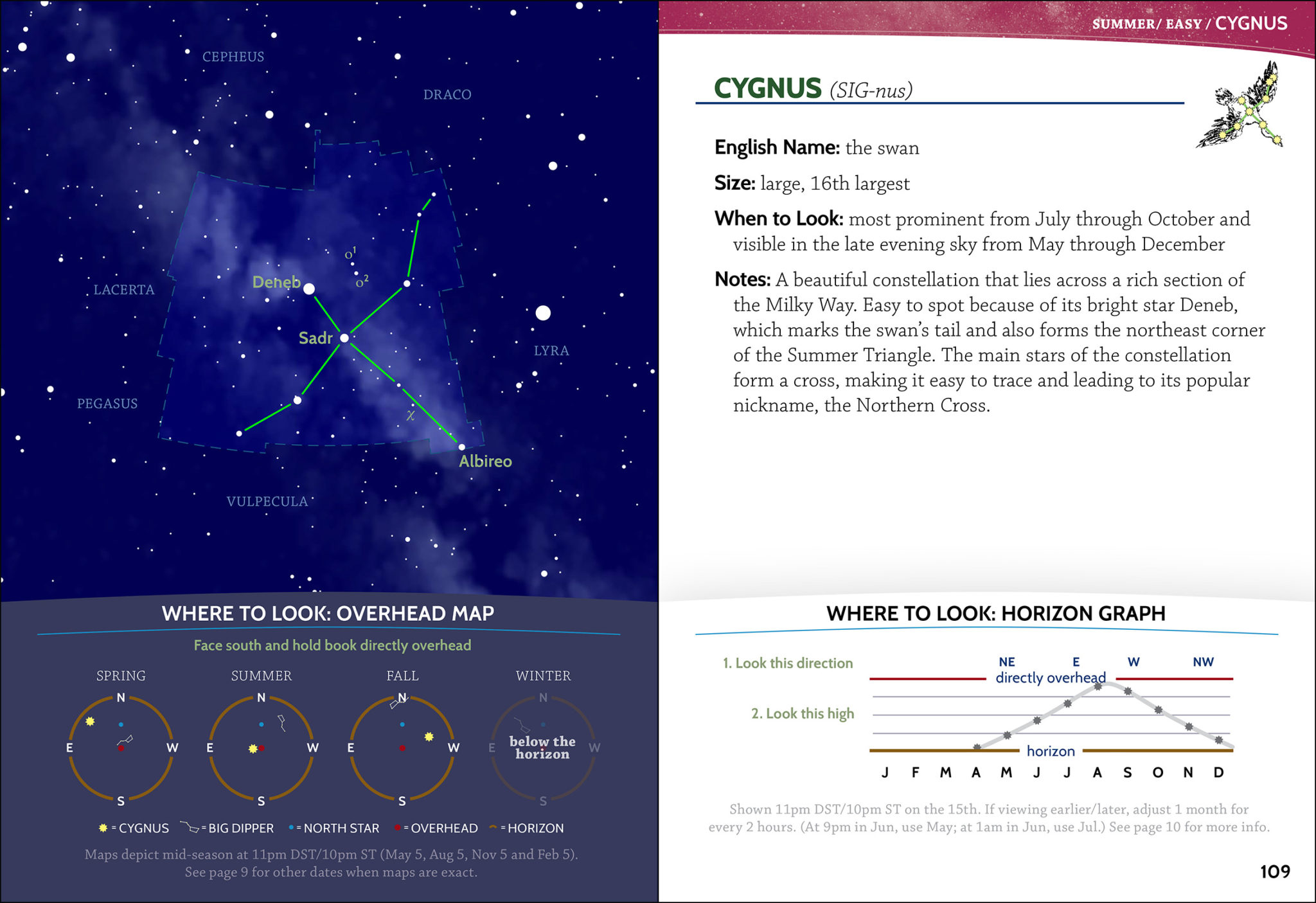 Night Sky: A Field Guide to the Constellations - AdventureKEEN Shop