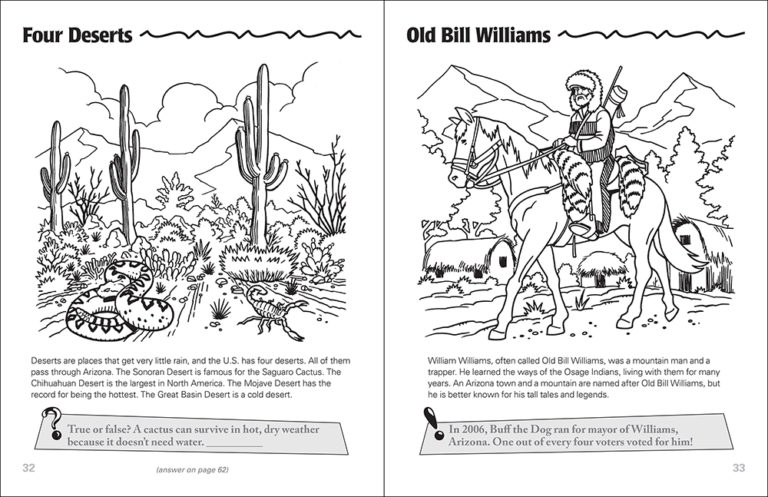 Arizona Activity Book - AdventureKEEN Shop