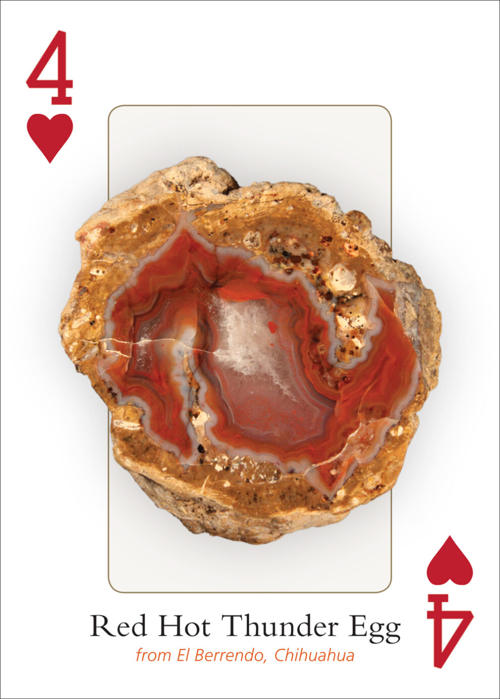 Agates of North America Playing Cards - AdventureKEEN Shop