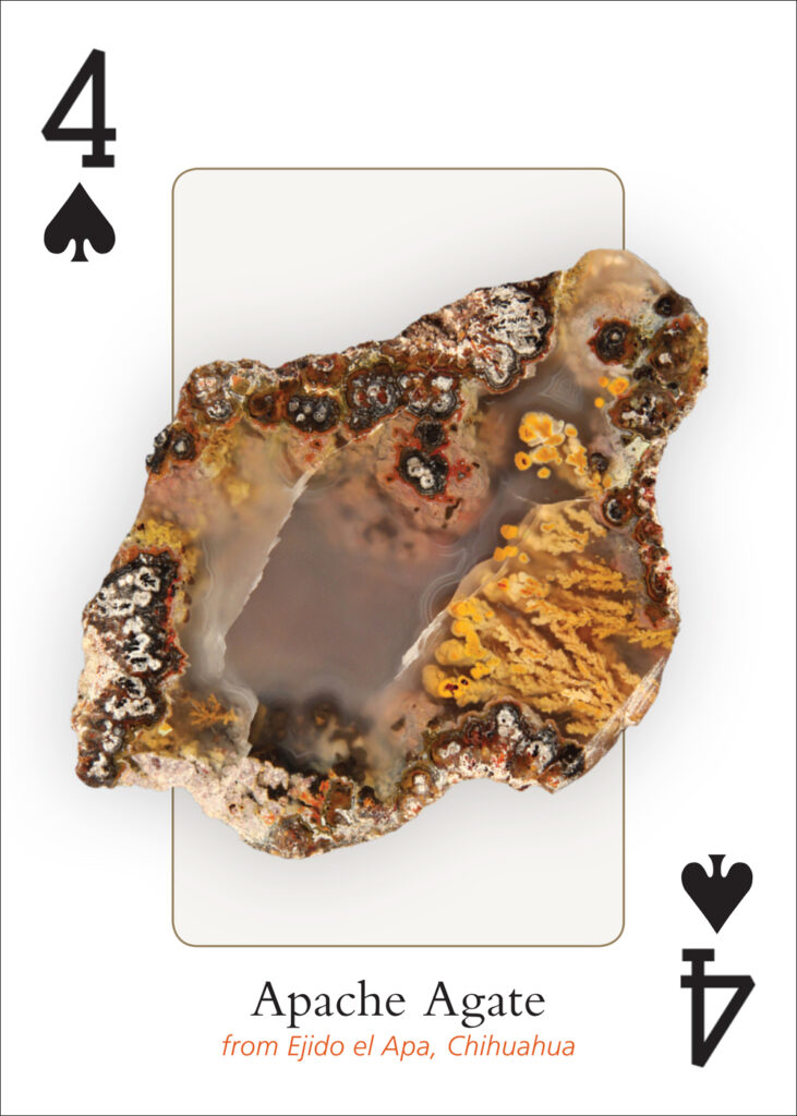 Agates of North America Playing Cards - AdventureKEEN Shop