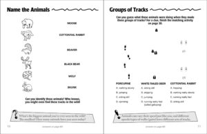 Animal Tracks Activity Book - AdventureKEEN Shop