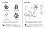 Animal Tracks Activity Book - AdventureKEEN Shop