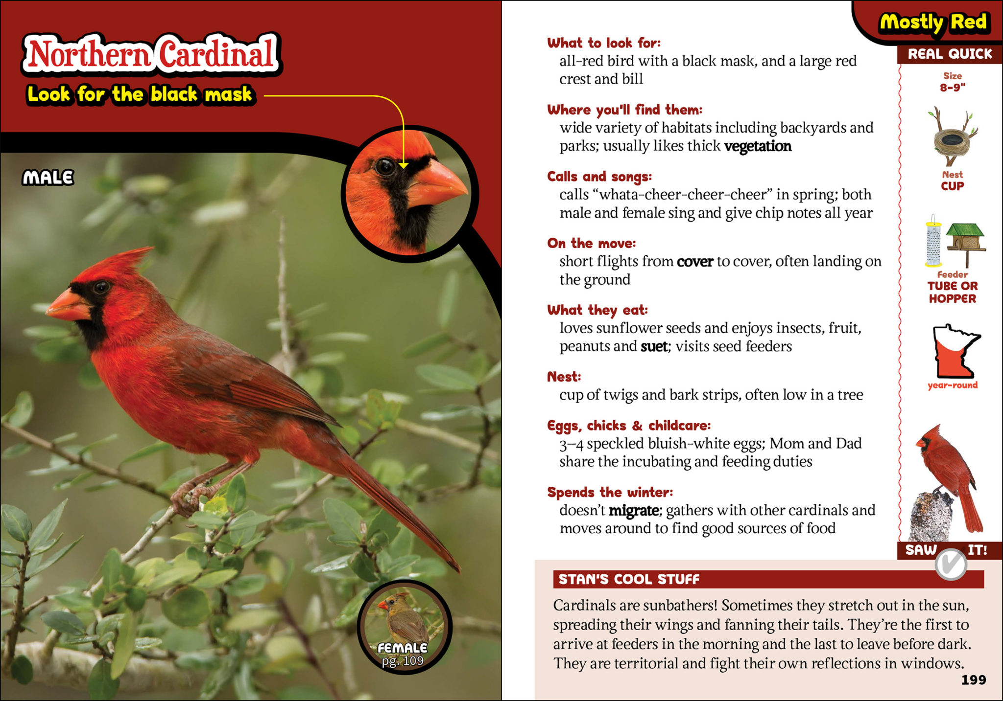 The Kids' Guide to Birds of Minnesota - AdventureKEEN Shop