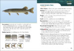 Fish of Minnesota Field Guide - AdventureKEEN Shop
