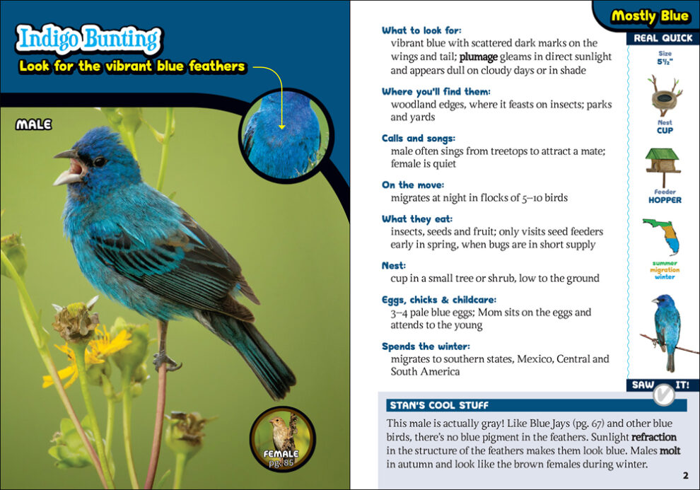 The Kids' Guide to Birds of Florida - AdventureKEEN Shop
