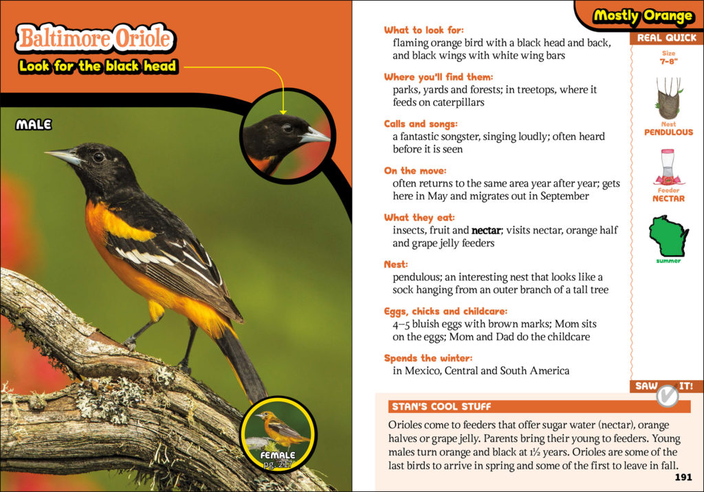 The Kids' Guide to Birds of Wisconsin - AdventureKEEN Shop