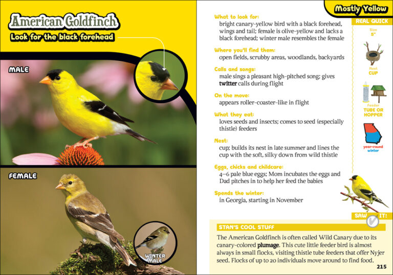 The Kids' Guide to Birds of Georgia - AdventureKEEN Shop