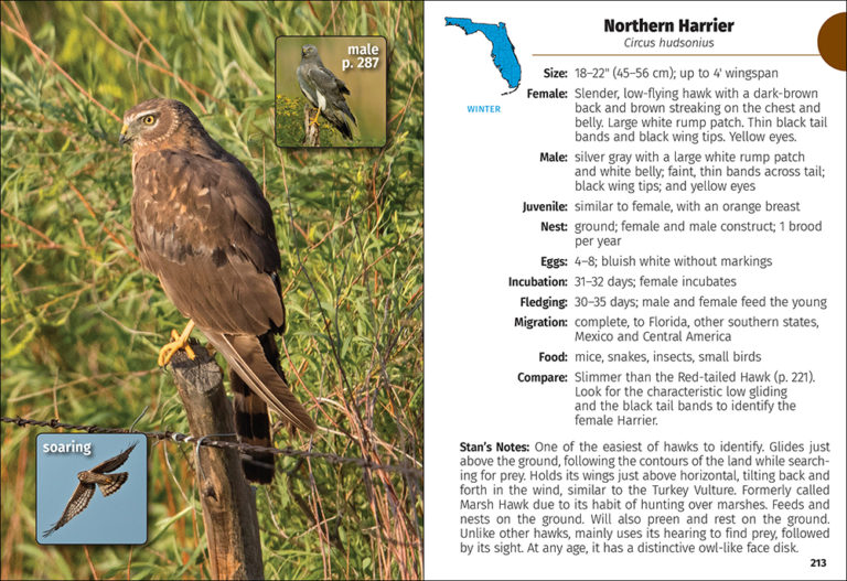 Birds of Florida Field Guide - AdventureKEEN Shop