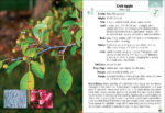 Trees of the Carolinas Field Guide - AdventureKEEN Shop