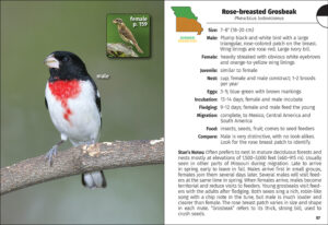 Birds of Missouri Field Guide - AdventureKEEN Shop