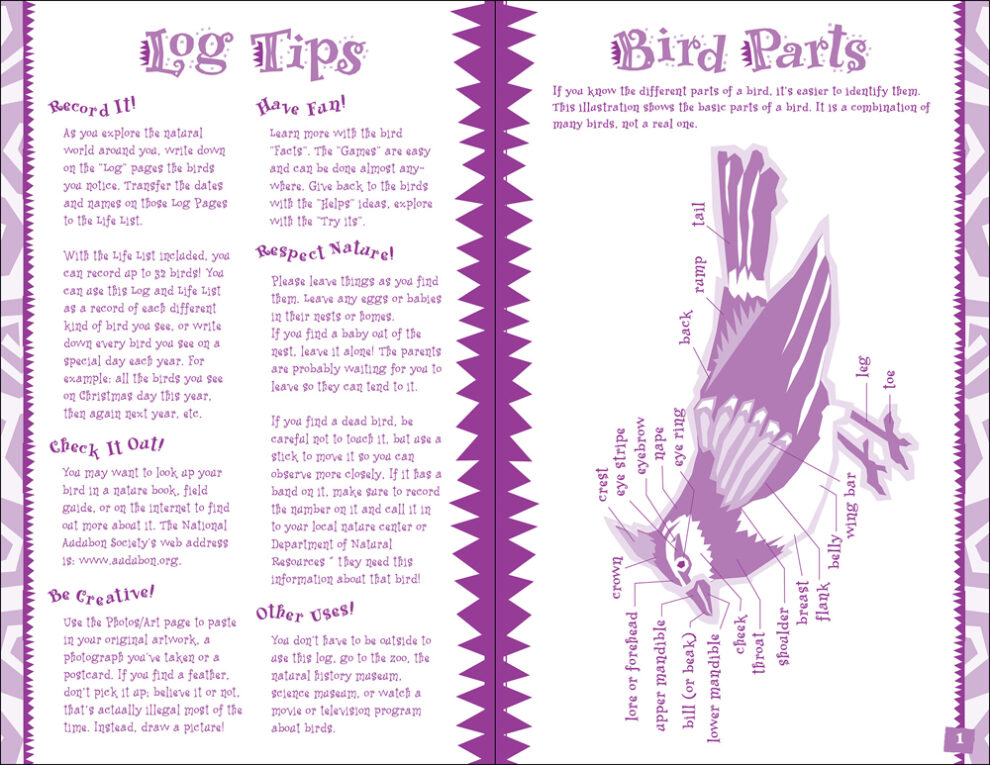 Bird Log Kids - AdventureKEEN Shop