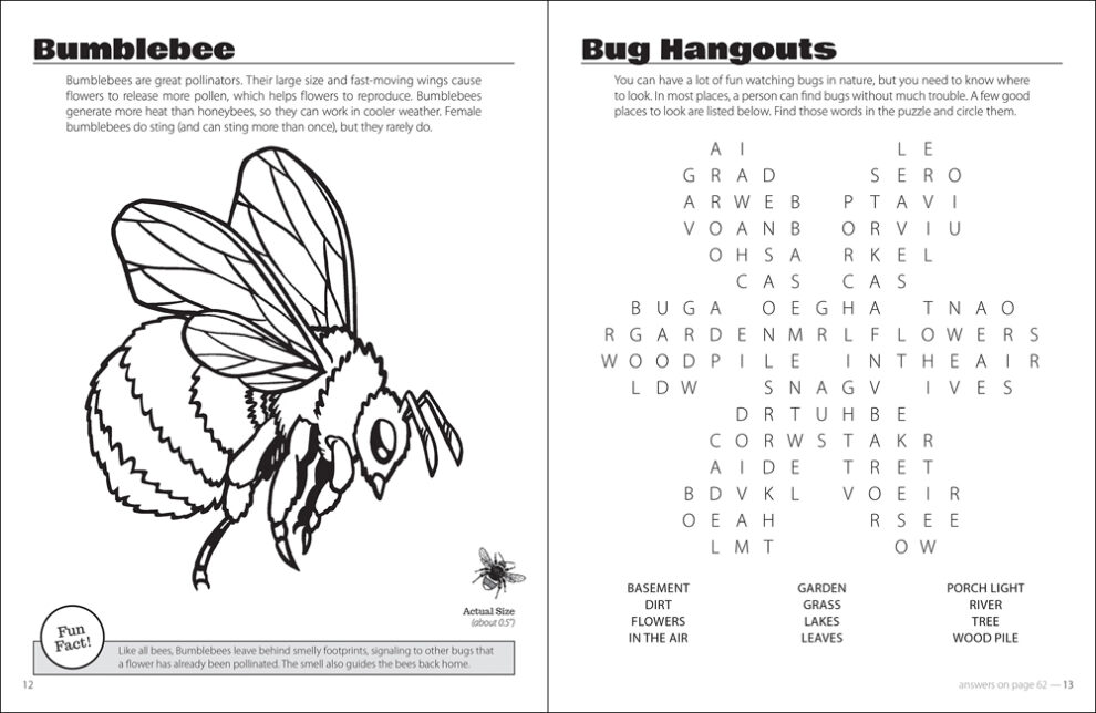 Beautiful Bugs Activity Book - AdventureKEEN Shop