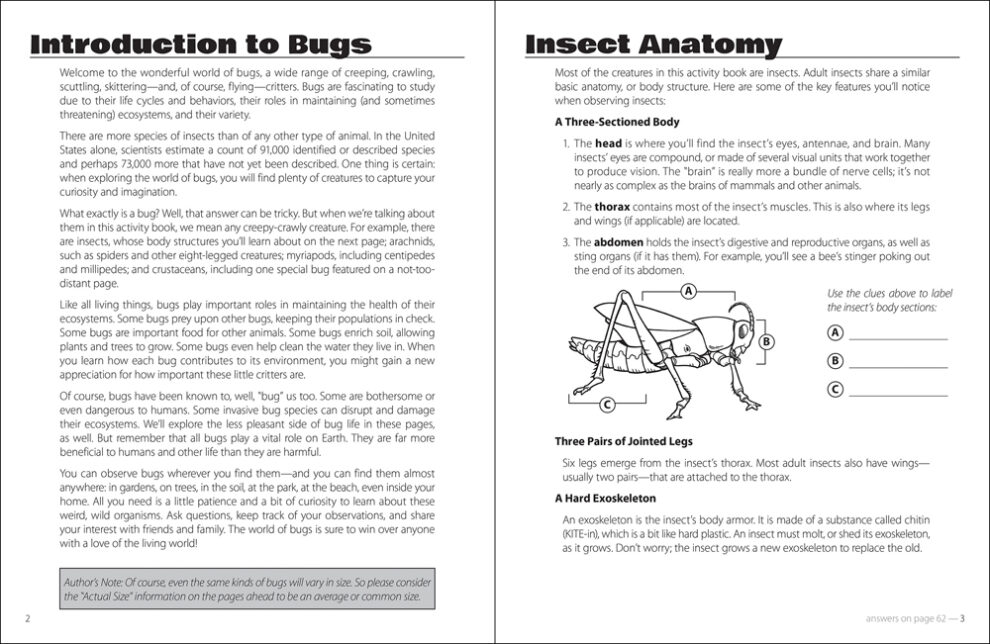 Beautiful Bugs Activity Book - AdventureKEEN Shop
