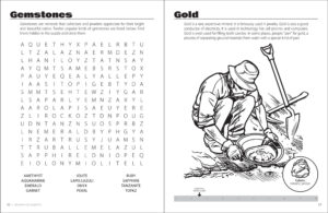 Rocks & Minerals Activity Book - AdventureKEEN Shop