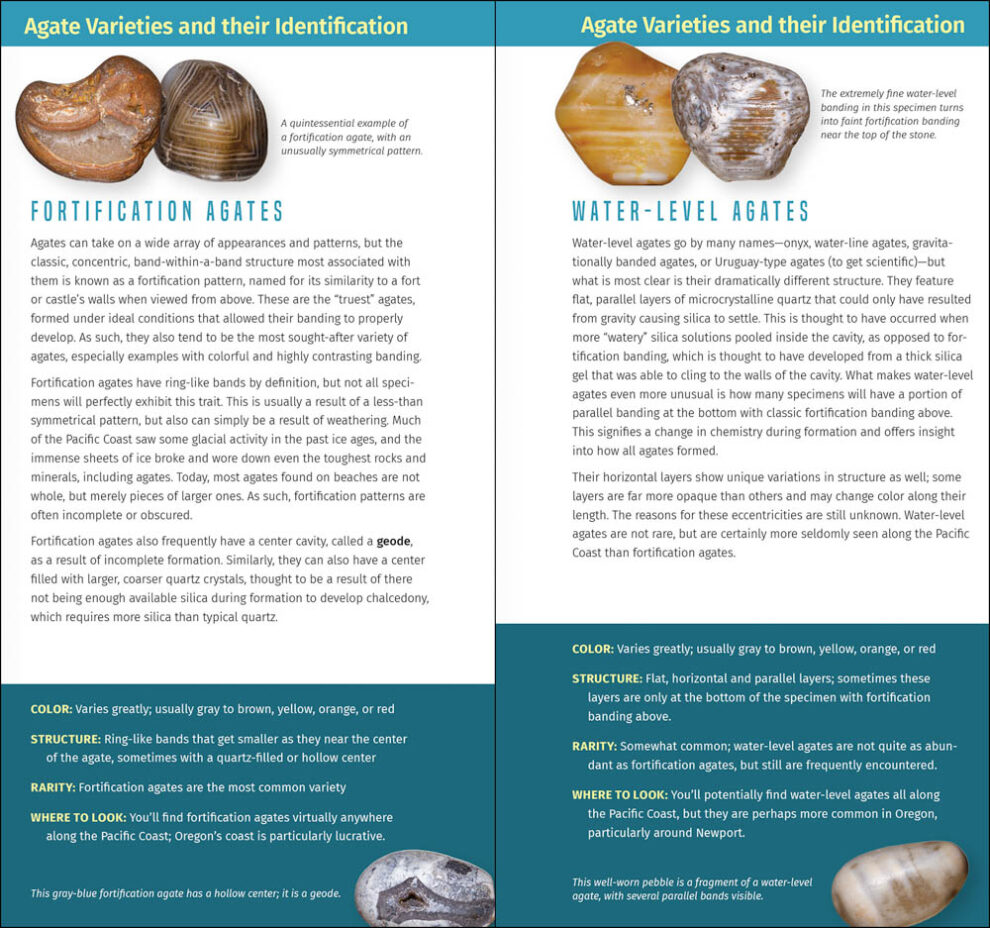 Agates and Other Collectibles of the Pacific Coast - AdventureKEEN Shop