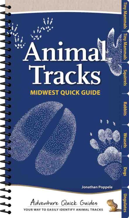 Animal Tracks of the Northwest - AdventureKEEN Shop