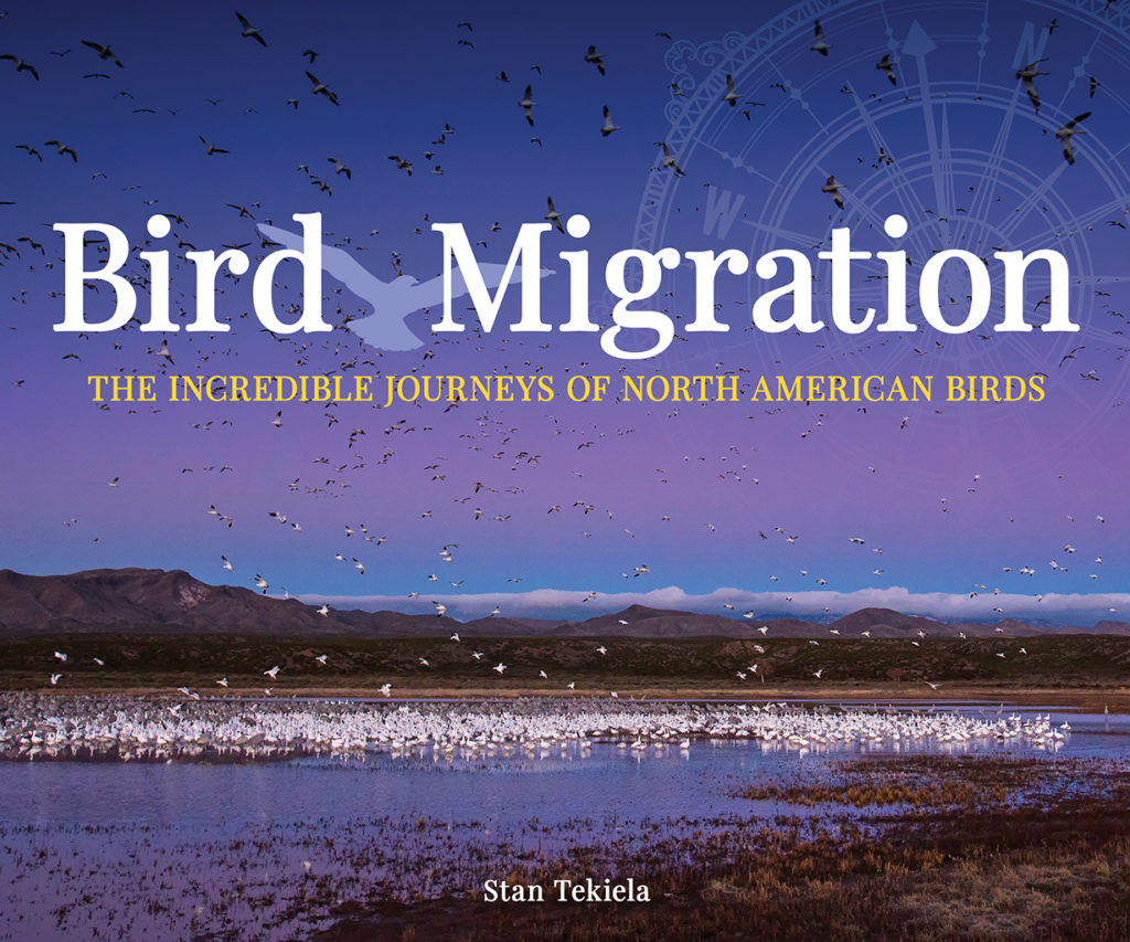Bird Migration - AdventureKEEN Shop