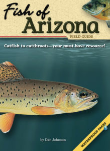 Fish of Arizona Field Guide - AdventureKEEN Shop