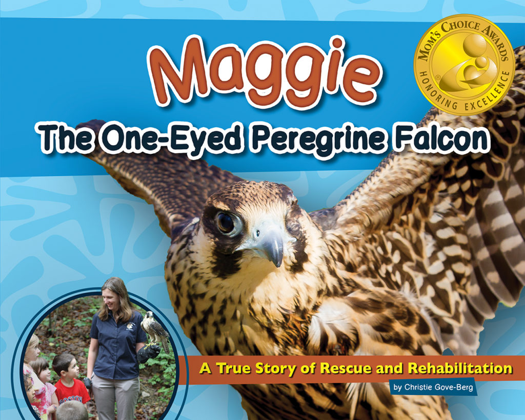 Maggie the One-Eyed Peregrine Falcon - AdventureKEEN Shop