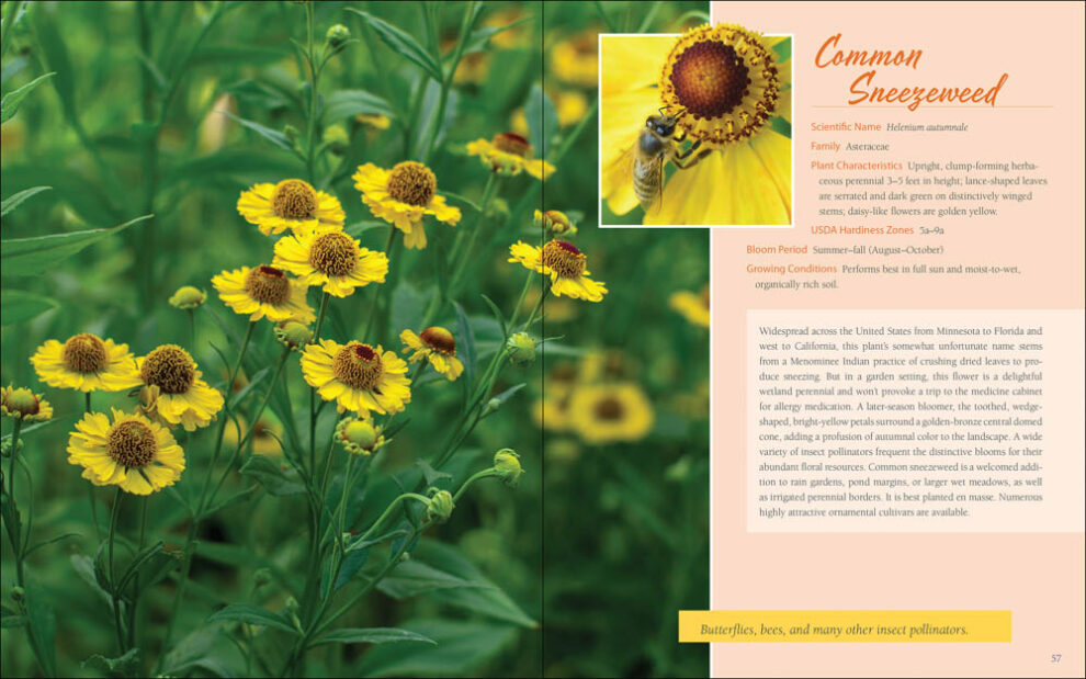 Native Plant Gardening for Birds, Bees & Butterflies: Southeast ...