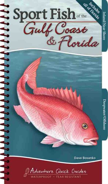 Sport Fish of the Middle & South Atlantic - AdventureKEEN Shop