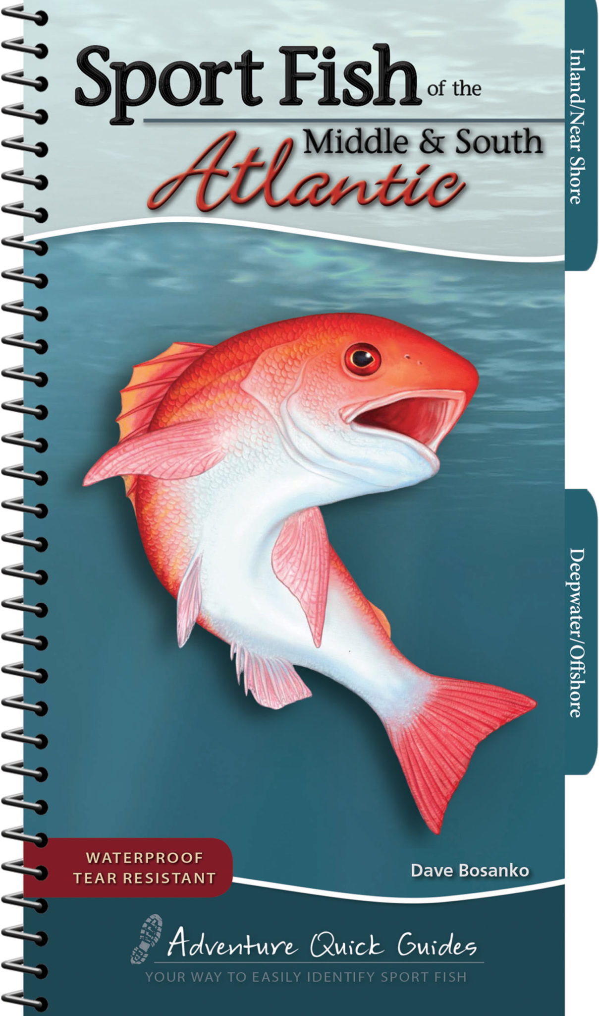 Sport Fish of the Middle & South Atlantic - AdventureKEEN Shop
