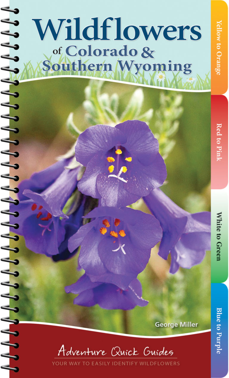 Wildflowers of the Pacific Northwest - AdventureKEEN Shop