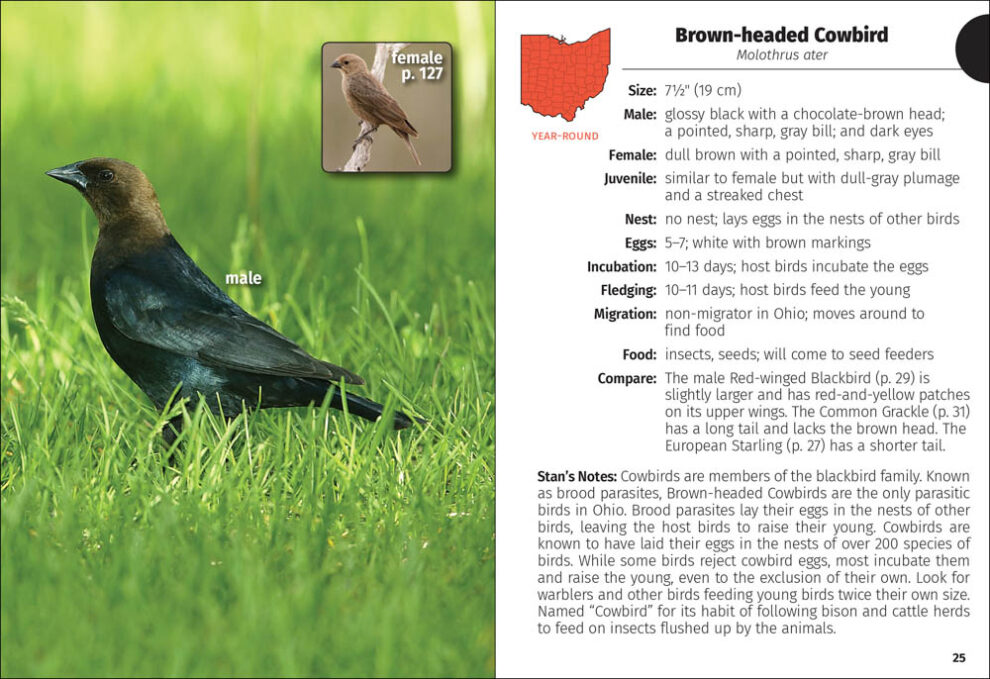 Birds of Ohio Field Guide - AdventureKEEN Shop