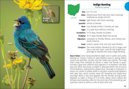 Birds of Ohio Field Guide - AdventureKEEN Shop