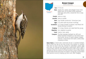 Birds of Ohio Field Guide - AdventureKEEN Shop