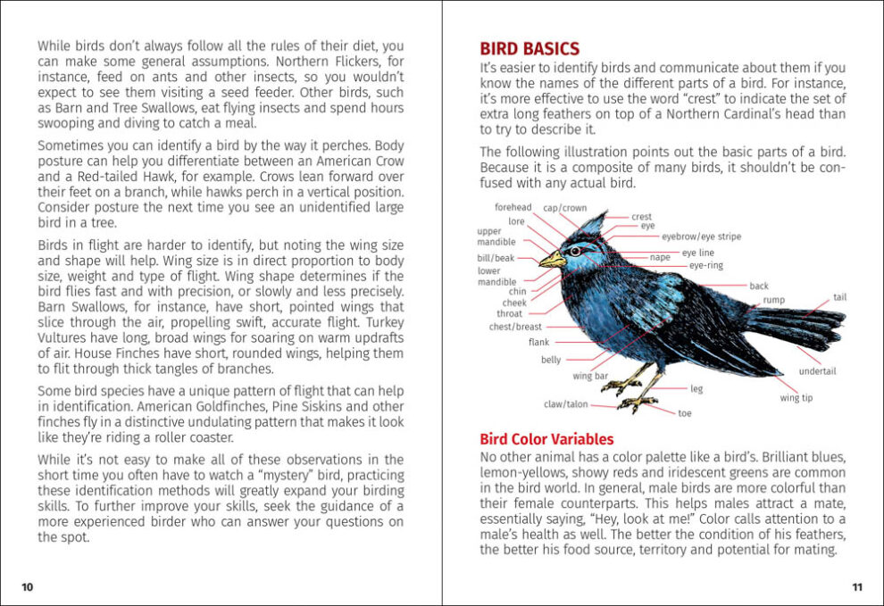Birds of Wisconsin Field Guide - AdventureKEEN Shop