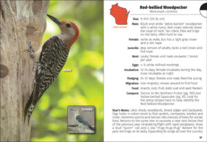 Birds of Wisconsin Field Guide - AdventureKEEN Shop
