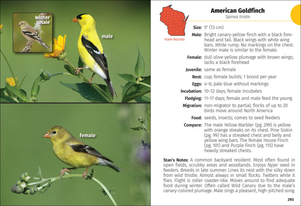 Birds of Wisconsin Field Guide - AdventureKEEN Shop