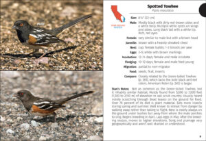 Birds of California Field Guide - AdventureKEEN Shop
