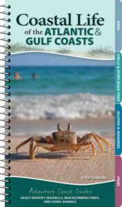 Coastal Life of the Atlantic and Gulf Coasts - AdventureKEEN Shop