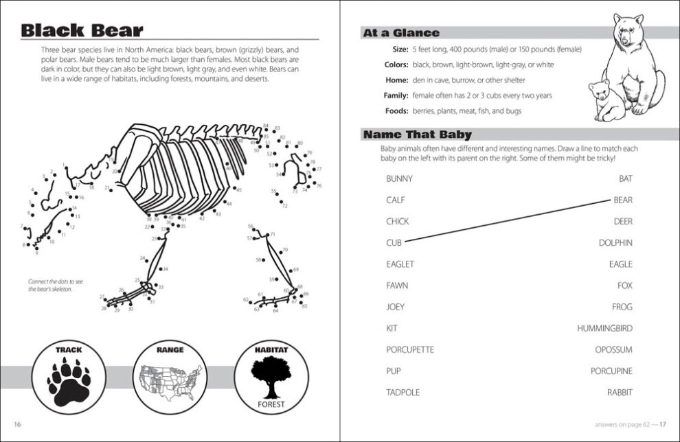 Animals & Skeletons Activity Book - AdventureKEEN Shop