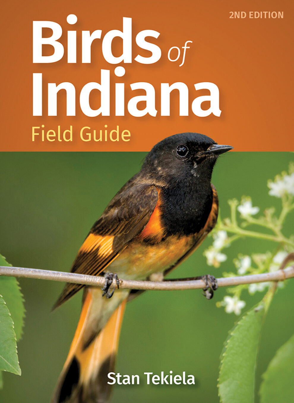 Birds of Indiana Field Guide - AdventureKEEN Shop