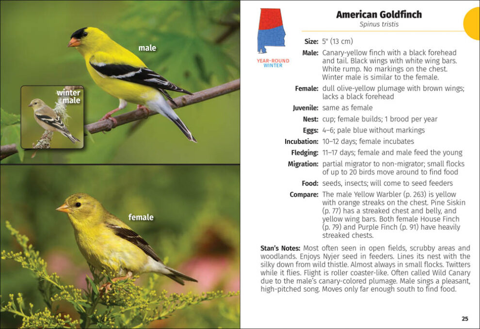 Birds of Alabama Field Guide - AdventureKEEN Shop