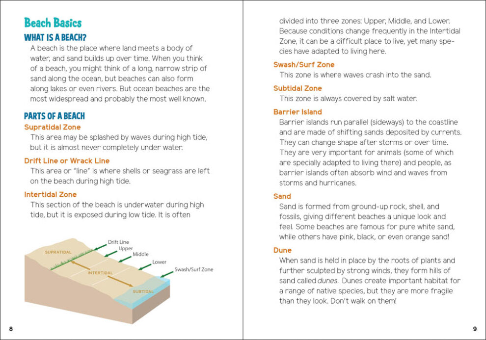 Seashells & Beachcombing for Kids - AdventureKEEN Shop