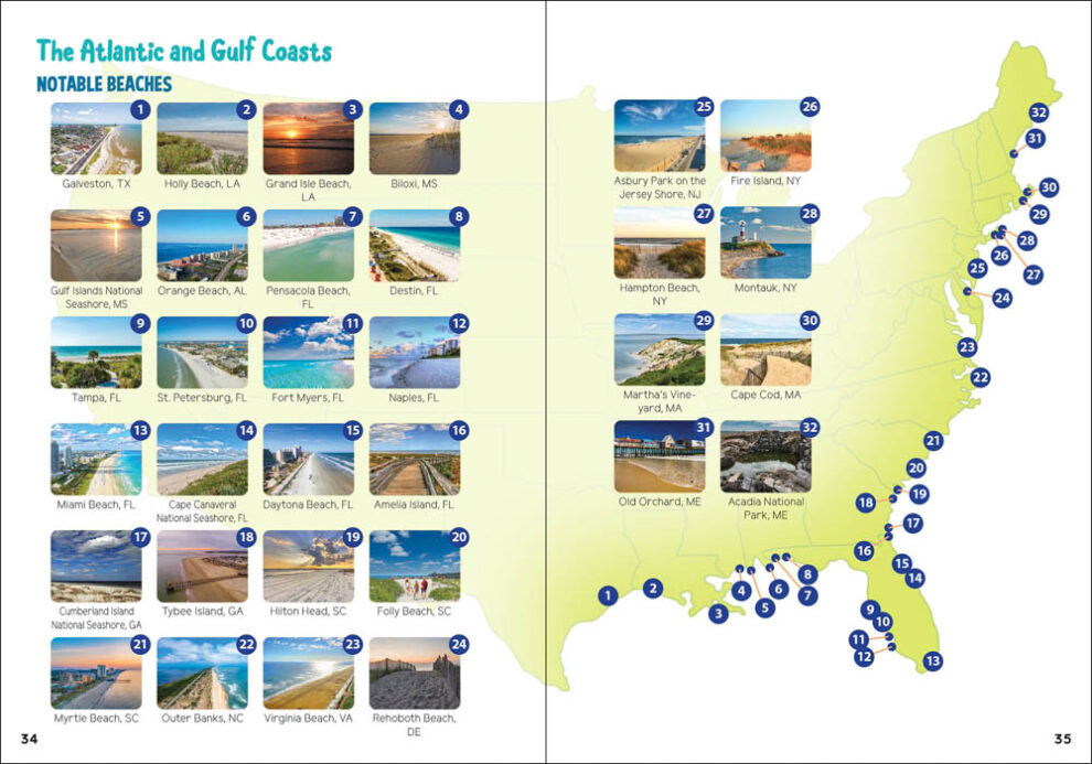 Seashells & Beachcombing for Kids - AdventureKEEN Shop