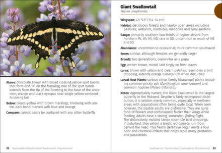 Butterflies of the Midwest Field Guide - AdventureKEEN Shop