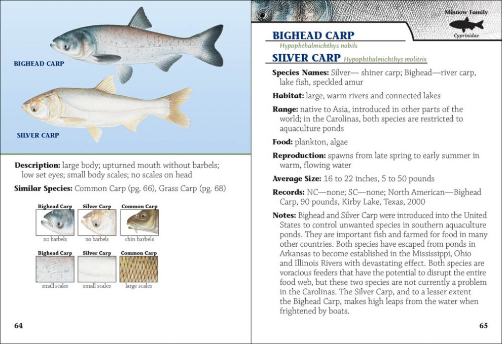 Freshwater Fish of the Carolinas Field Guide - AdventureKEEN Shop