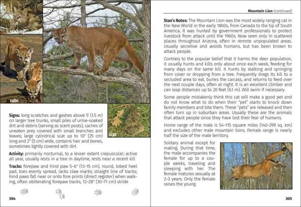 Mammals of Arizona Field Guide - AdventureKEEN Shop